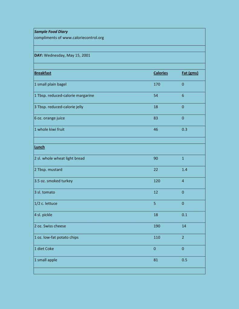 49 Simple Food Diary Templates & Food Log Examples