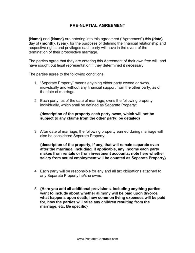 30+ Simple Prenuptial Agreement Templates [Prenup Examples]