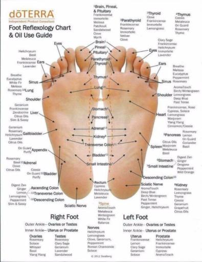 31 Printable Foot Reflexology Charts & Maps ᐅ TemplateLab