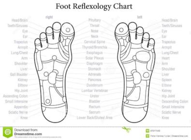31 Printable Foot Reflexology Charts & Maps ᐅ TemplateLab