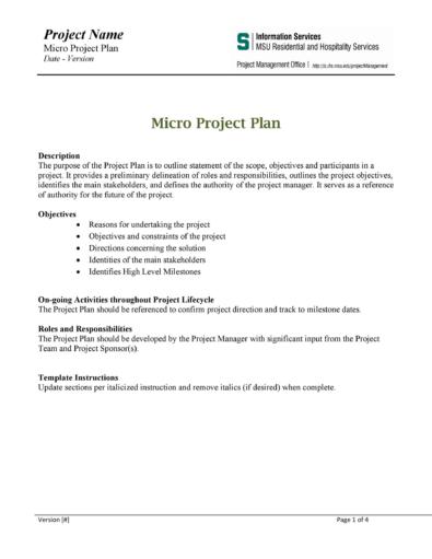 48 Professional Project Plan Templates [Excel, Word, PDF] ᐅ TemplateLab