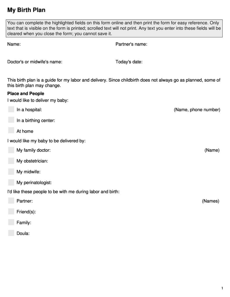 47+ Printable Birth Plan Templates [Birth Plan Checklist] ᐅ TemplateLab
