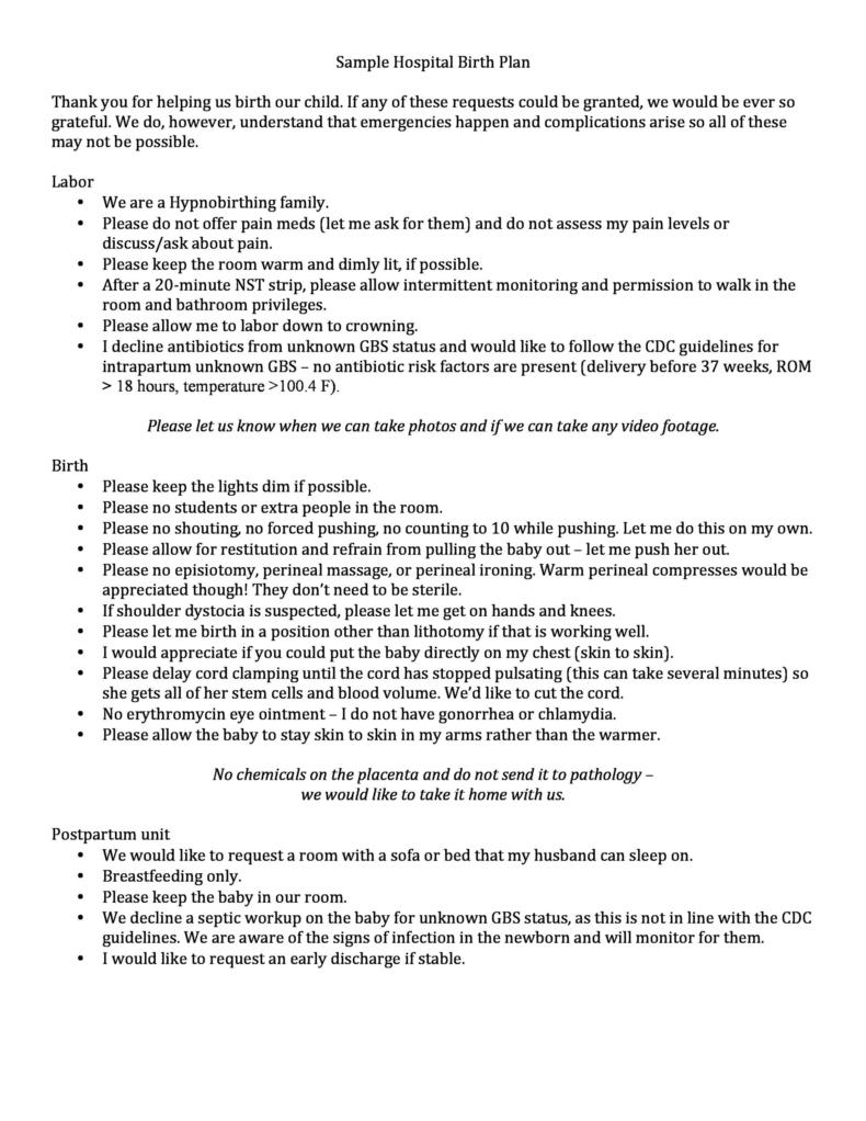 47+ Printable Birth Plan Templates [Birth Plan Checklist] ᐅ TemplateLab