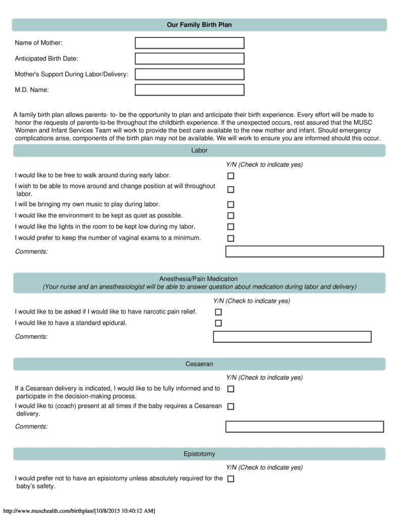47+ Printable Birth Plan Templates [Birth Plan Checklist] ᐅ TemplateLab