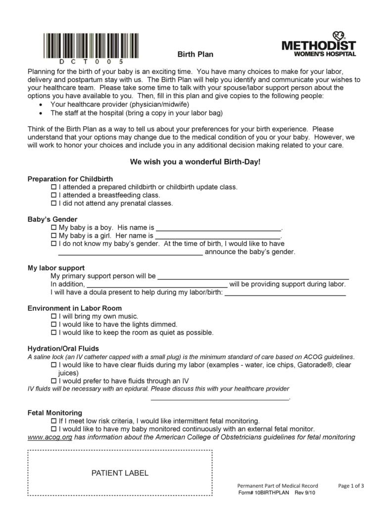 47+ Printable Birth Plan Templates [Birth Plan Checklist] ᐅ TemplateLab