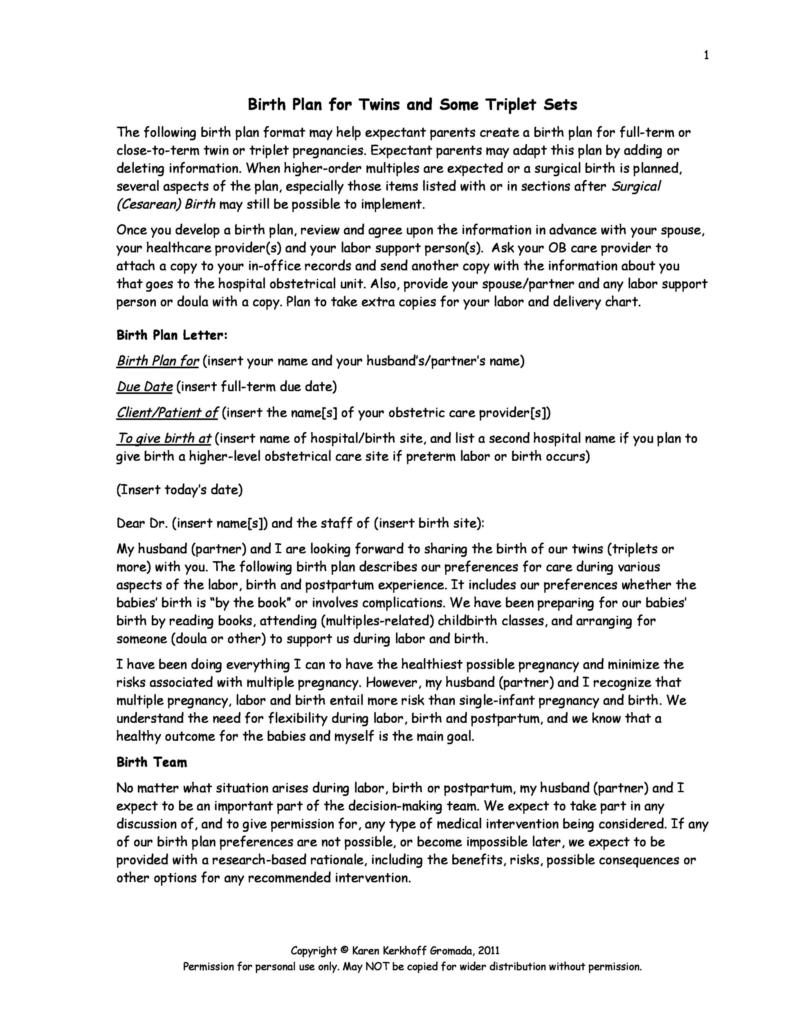 47+ Printable Birth Plan Templates [Birth Plan Checklist] ᐅ TemplateLab