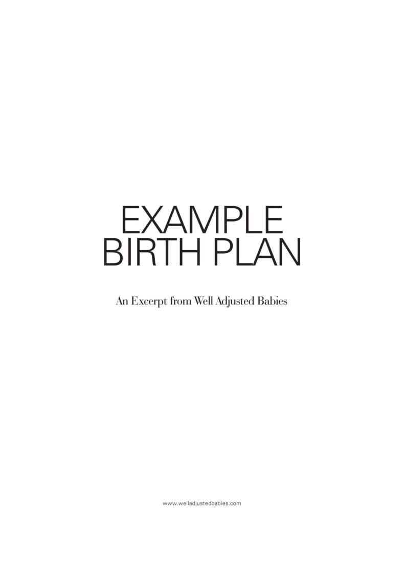 47+ Printable Birth Plan Templates [Birth Plan Checklist] ᐅ TemplateLab