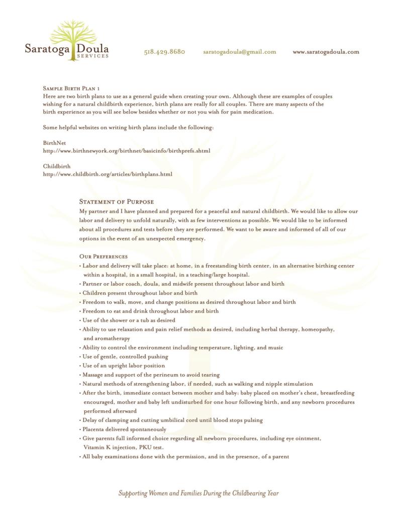 47+ Printable Birth Plan Templates [Birth Plan Checklist] ᐅ TemplateLab