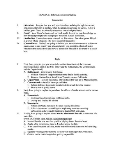 43 Informative Speech Outline Templates & Examples