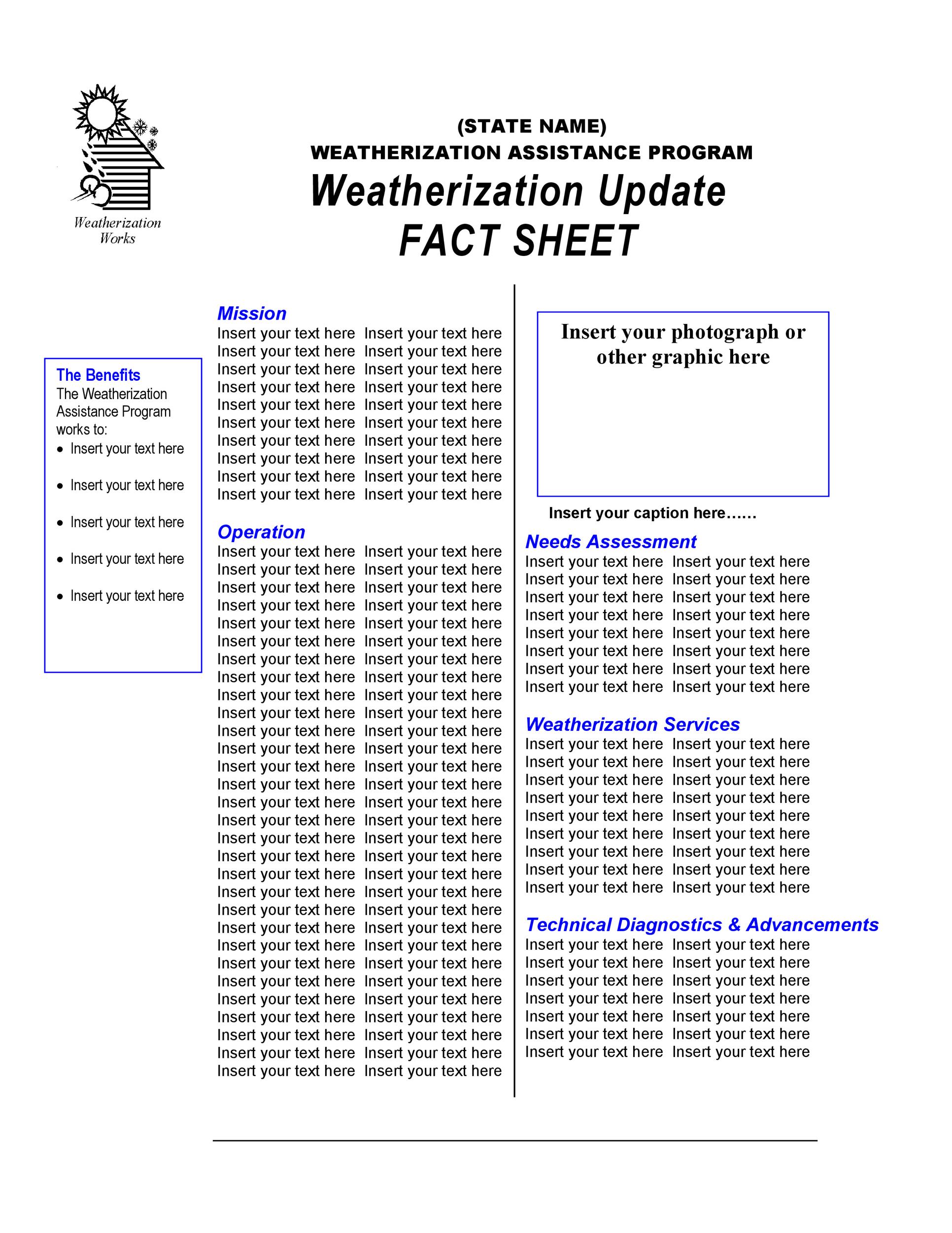 60 Beautiful Fact Sheet Templates Examples And Designs