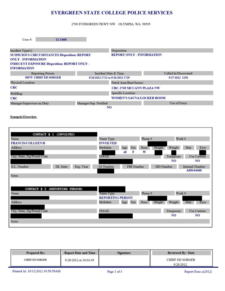 20+ Police Report Template & Examples [Fake / Real] ᐅ TemplateLab