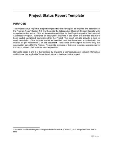 40+ Project Status Report Templates [Word, Excel, PPT] ᐅ TemplateLab