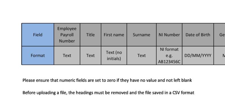 40+ Free Payroll Templates & Calculators ᐅ TemplateLab