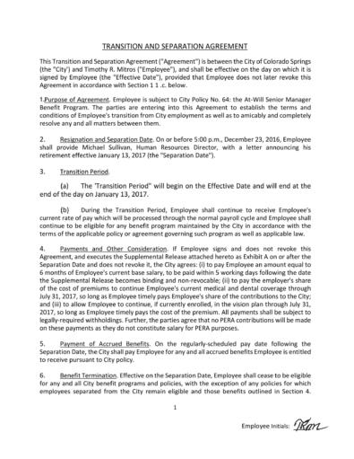 43 Best Separation Agreement Templates (& Separation Papers)