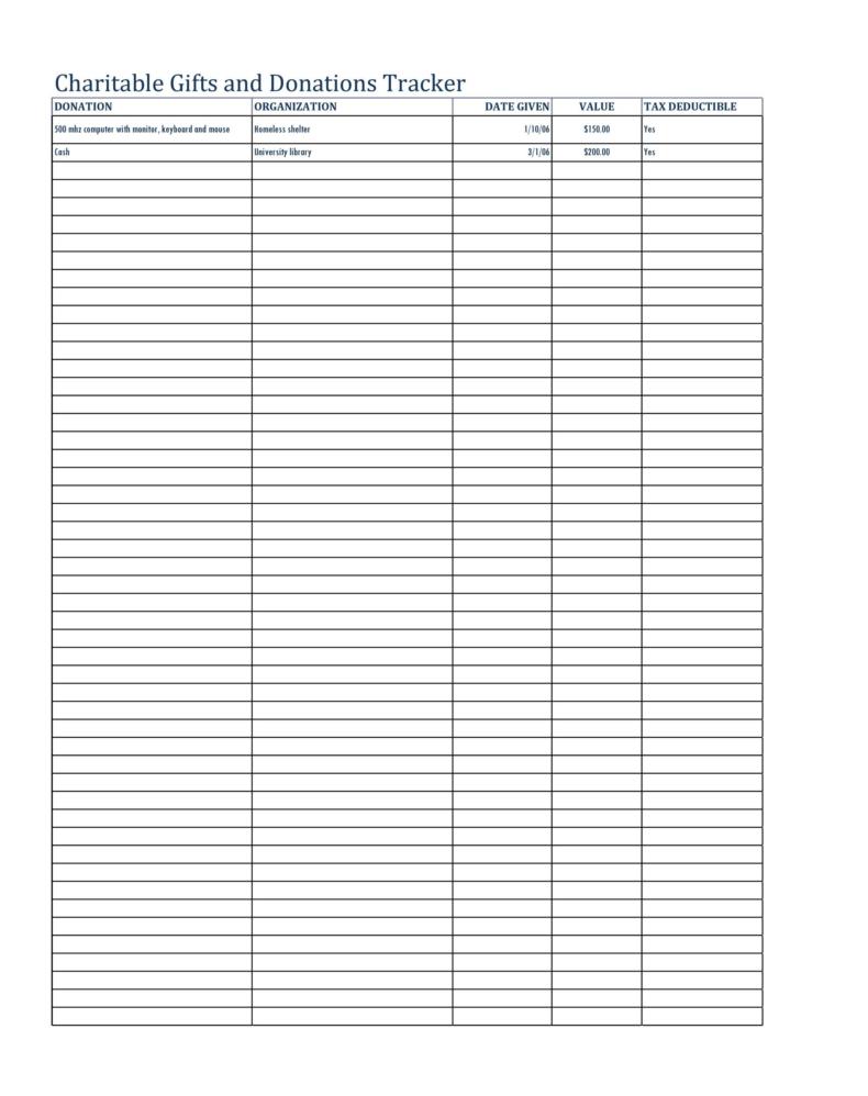 34 Professional Donation & Fundraiser Tracker Templates ᐅ TemplateLab