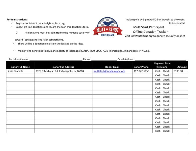 34 Professional Donation & Fundraiser Tracker Templates ᐅ TemplateLab