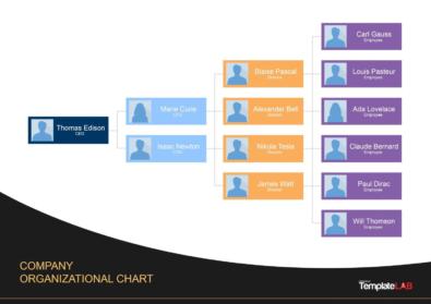 41 Organizational Chart Templates (Word, Excel, PowerPoint, PSD)