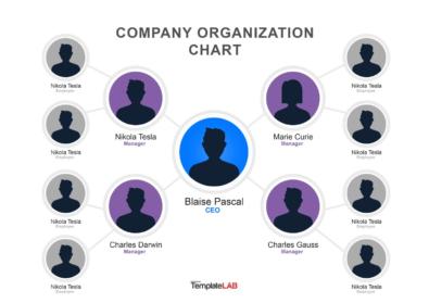41 Organizational Chart Templates (Word, Excel, PowerPoint, PSD)