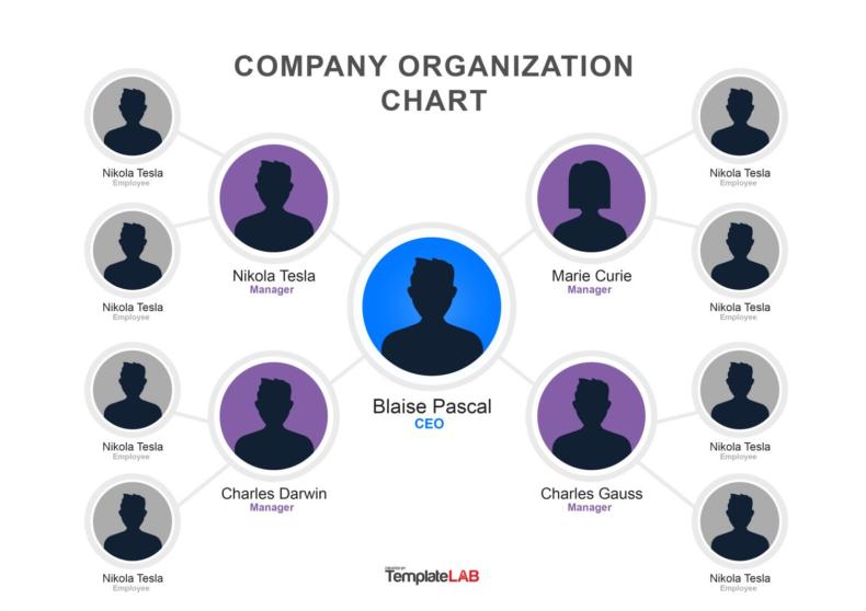 41 Organizational Chart Templates (Word, Excel, PowerPoint, PSD)