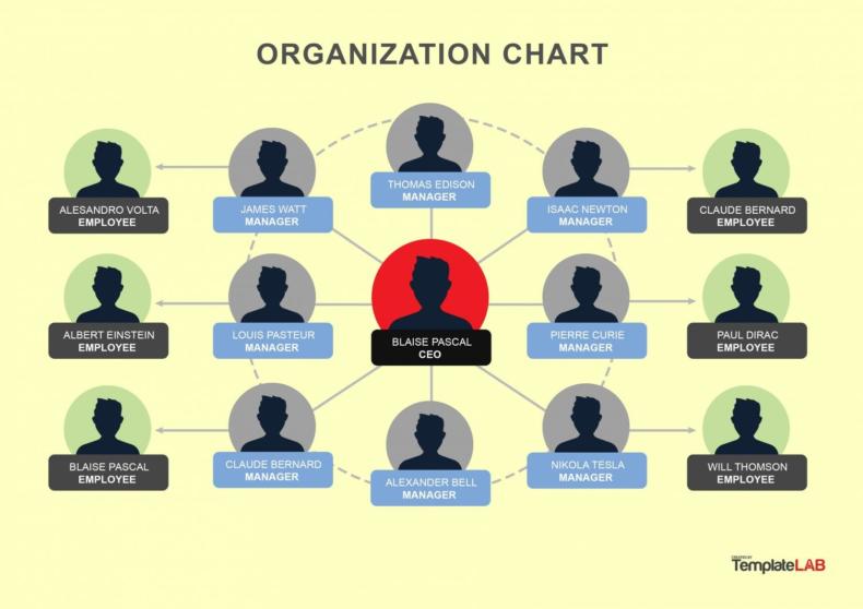 41 Organizational Chart Templates (Word, Excel, PowerPoint, PSD)