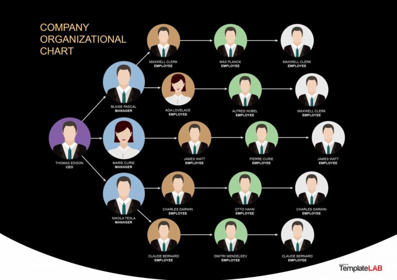 41 Organizational Chart Templates (Word, Excel, PowerPoint, PSD)