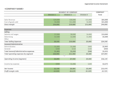 41 FREE Income Statement Templates & Examples - TemplateLab