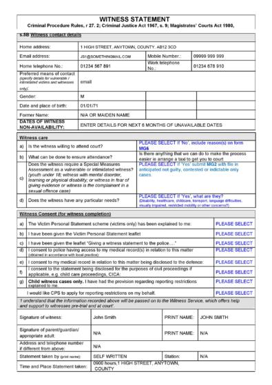 50 Professional Witness Statement Forms & Templates ᐅ TemplateLab
