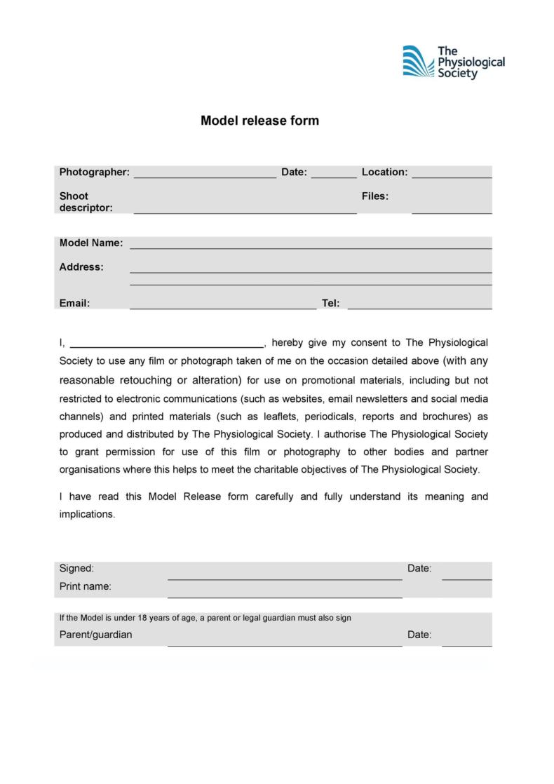 50 Best Model Release Forms (Free Templates) ᐅ TemplateLab