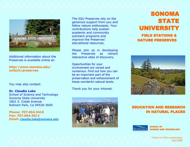 50 FREE Pamphlet Templates [Word / Google Docs] ᐅ TemplateLab