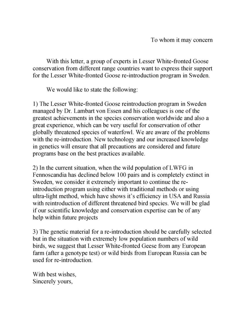 50 To Whom It May Concern Letter & Email Templates ᐅ TemplateLab