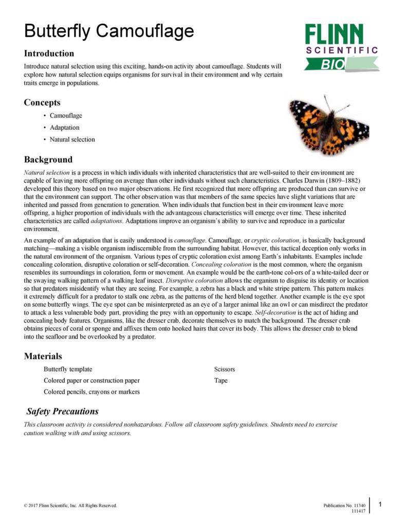 50 Printable & Cut Out Butterfly Templates 🦋 ᐅ TemplateLab