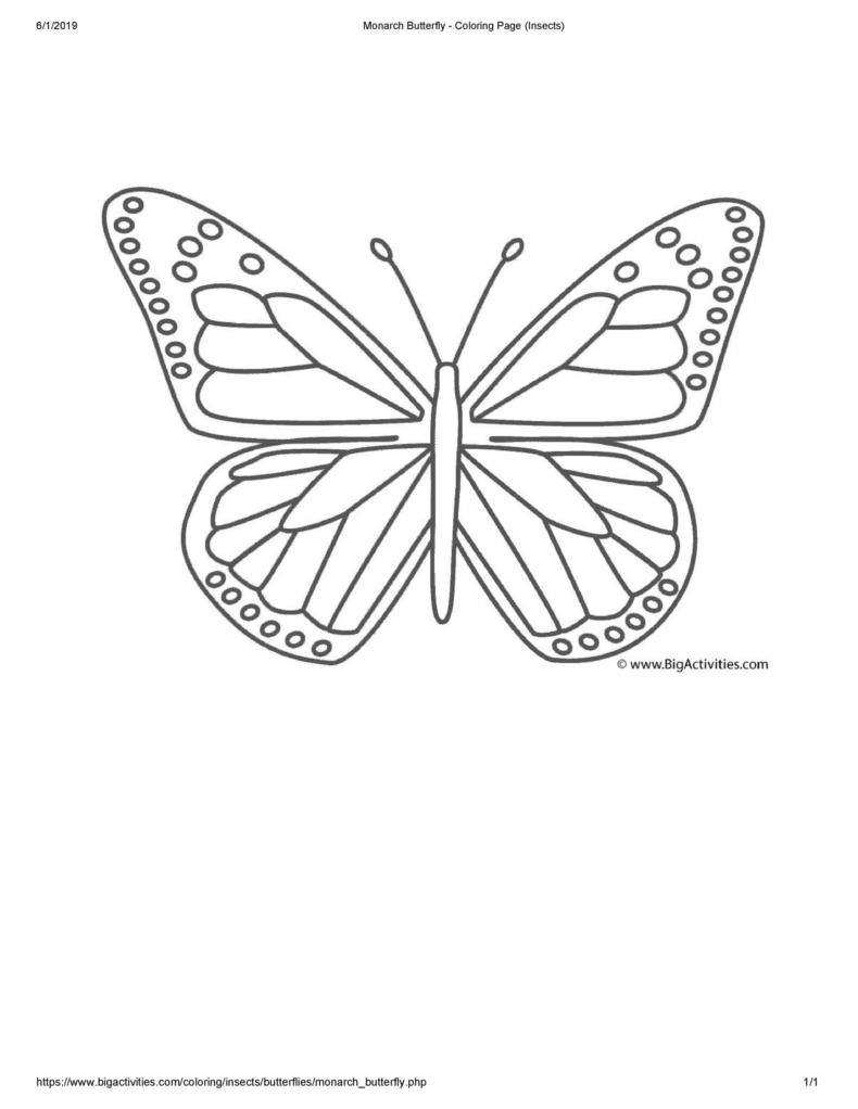 50 Printable & Cut Out Butterfly Templates 🦋 ᐅ TemplateLab