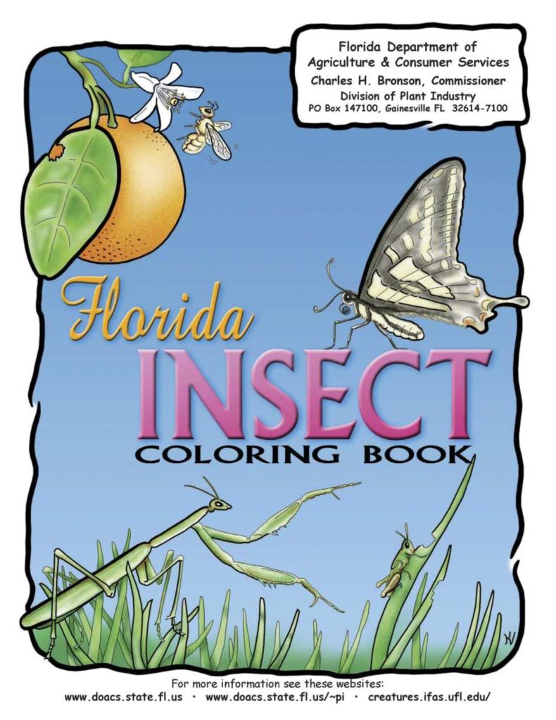 50 Printable & Cut Out Butterfly Templates 🦋 ᐅ TemplateLab