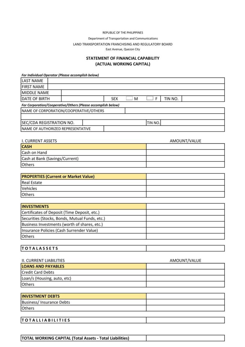 42 Effective Capability Statement Templates (+ Examples)