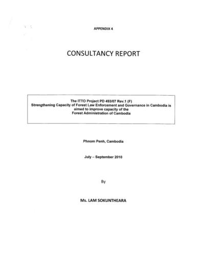 50 Best Consulting Report Templates & Examples ᐅ TemplateLab