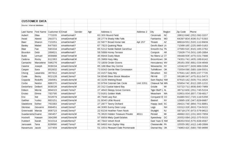 50 FREE Customer List Templates (Excel & Word) ᐅ TemplateLab