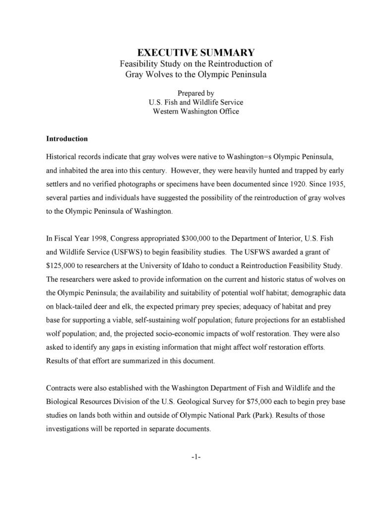 48 Feasibility Study Examples & Templates (100% Free) ᐅ TemplateLab 48 Feasibility Study Examples & Templates (100% Free) ᐅ TemplateLab