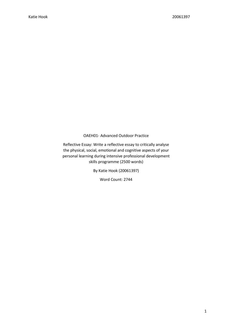 50 Best Reflective Essay Examples (+Topic Samples) ᐅ TemplateLab