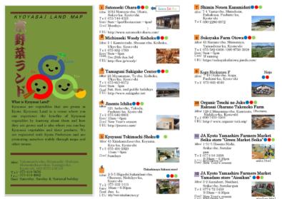 50 Free Catalog Templates (MS Word, Instant Download) ᐅ TemplateLab