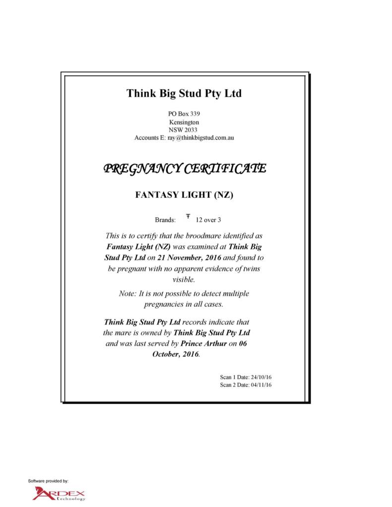 23 Real & Fake Pregnant Papers (Pregnancy Verification) ᐅ TemplateLab