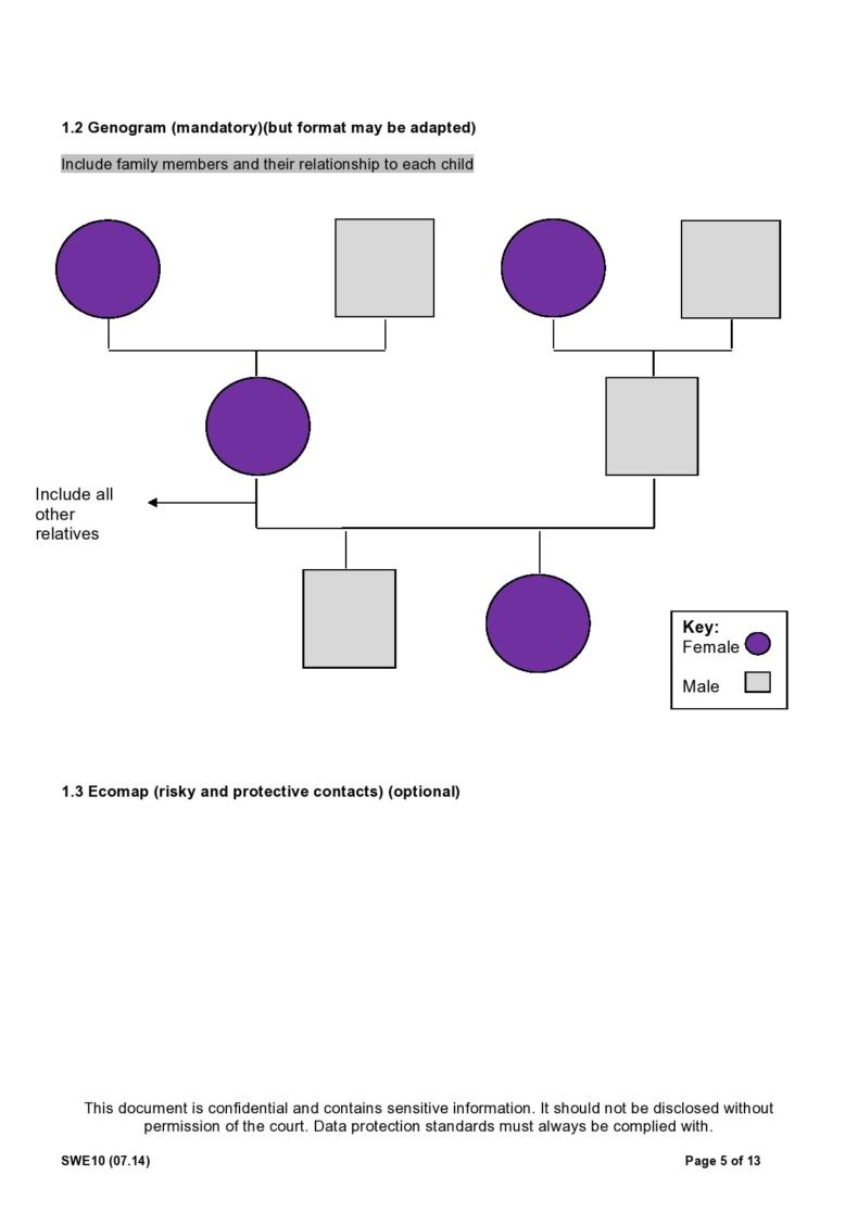 31 Editable Ecomap Templates & Examples [FREE] ᐅ TemplateLab