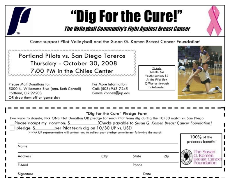 39 Editable Fundraiser Flyers Templates & Ideas ᐅ TemplateLab