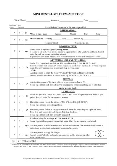 47 Free Mental Status Exam Templates (MSE Examples) ᐅ TemplateLab
