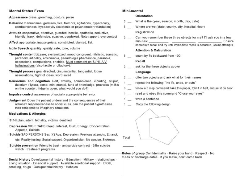 47 Free Mental Status Exam Templates (MSE Examples) ᐅ TemplateLab