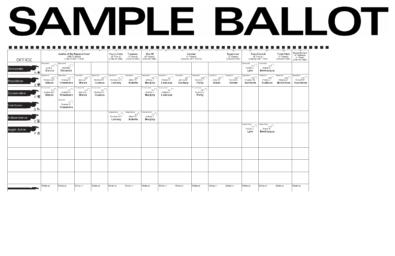 47 Free Voting Ballot Templates [Word, PDF] ᐅ TemplateLab