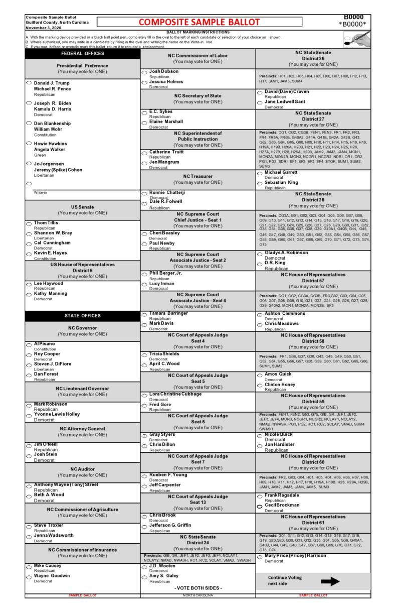 47 Free Voting Ballot Templates [Word, PDF] ᐅ TemplateLab