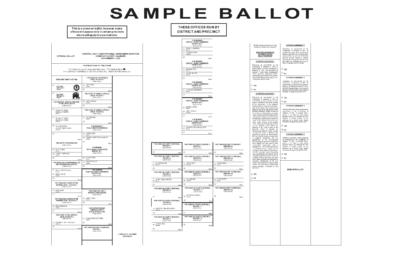 47 Free Voting Ballot Templates [Word, PDF] ᐅ TemplateLab