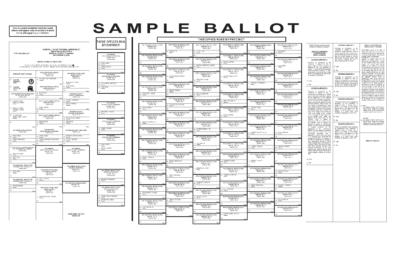 47 Free Voting Ballot Templates [Word, PDF] ᐅ TemplateLab
