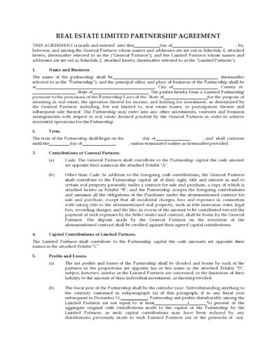 38 Professional Limited Partnership Agreements (FREE)