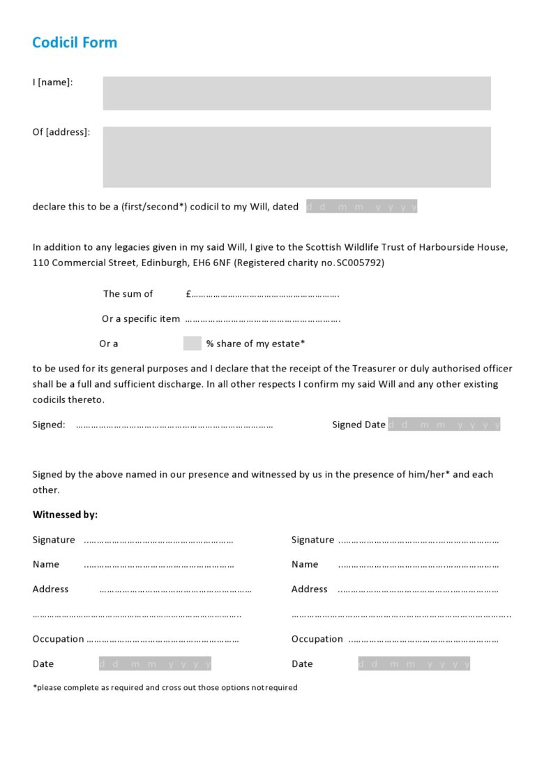 46 Free Codicil to Will Forms & Templates ᐅ TemplateLab